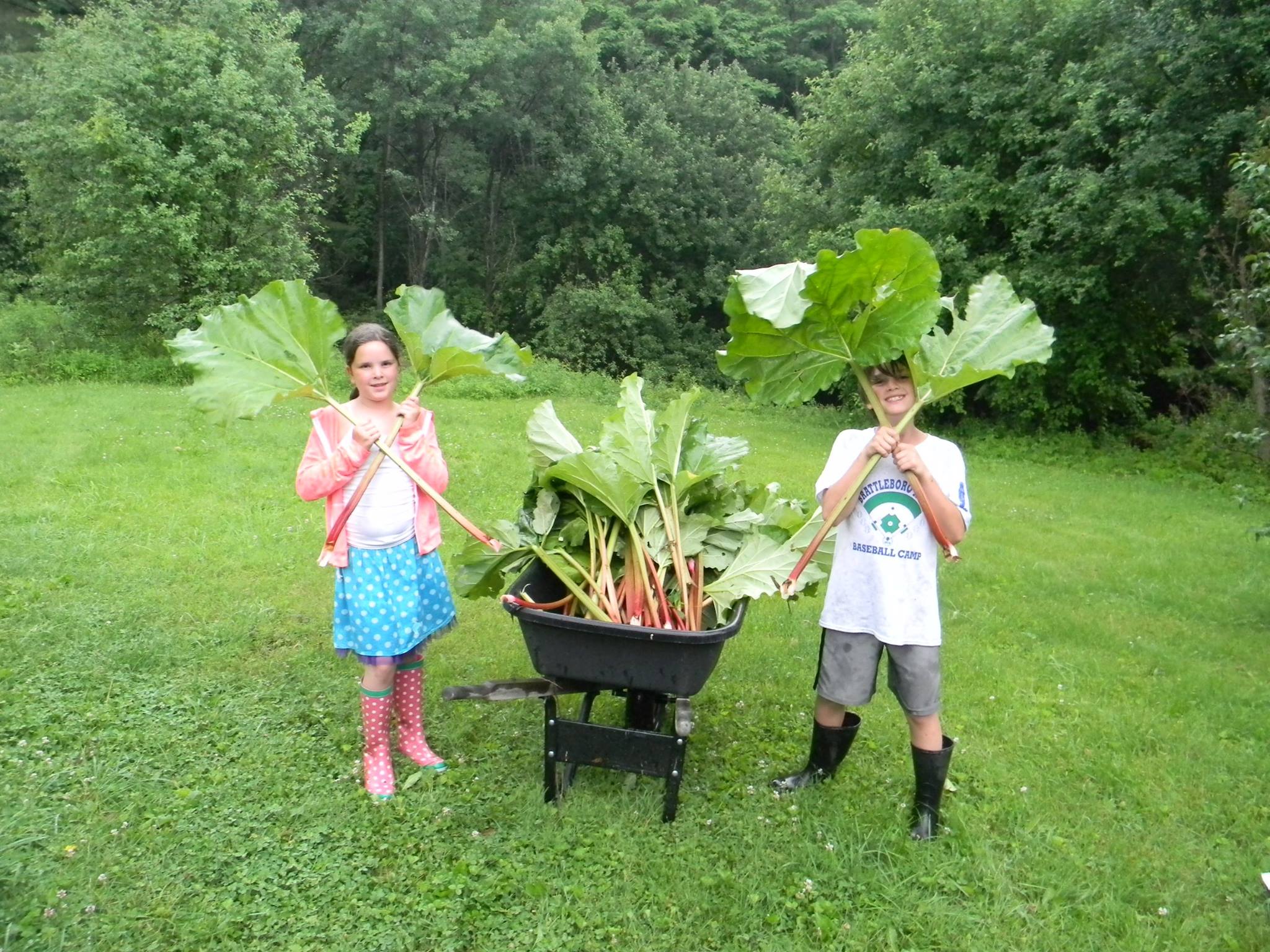 Sidehill Farm Jam: A Return to our Roots